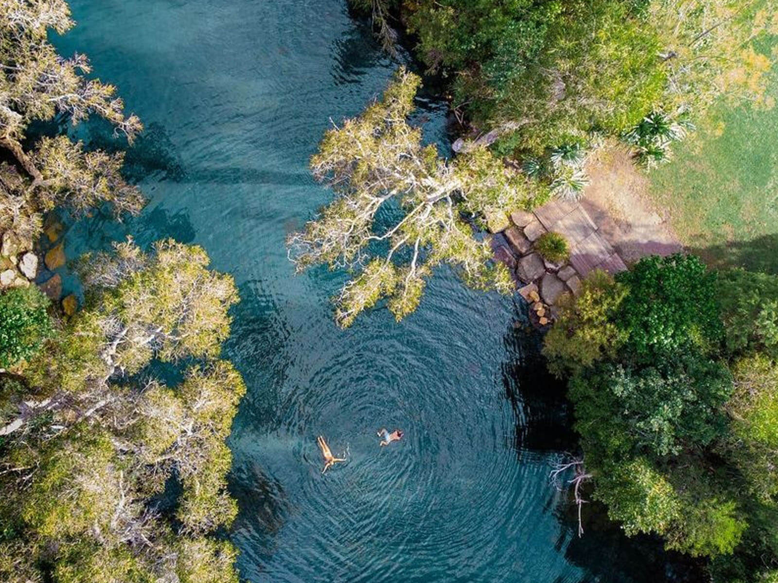 5 Rainforest Retreats on the Capricorn Coast
