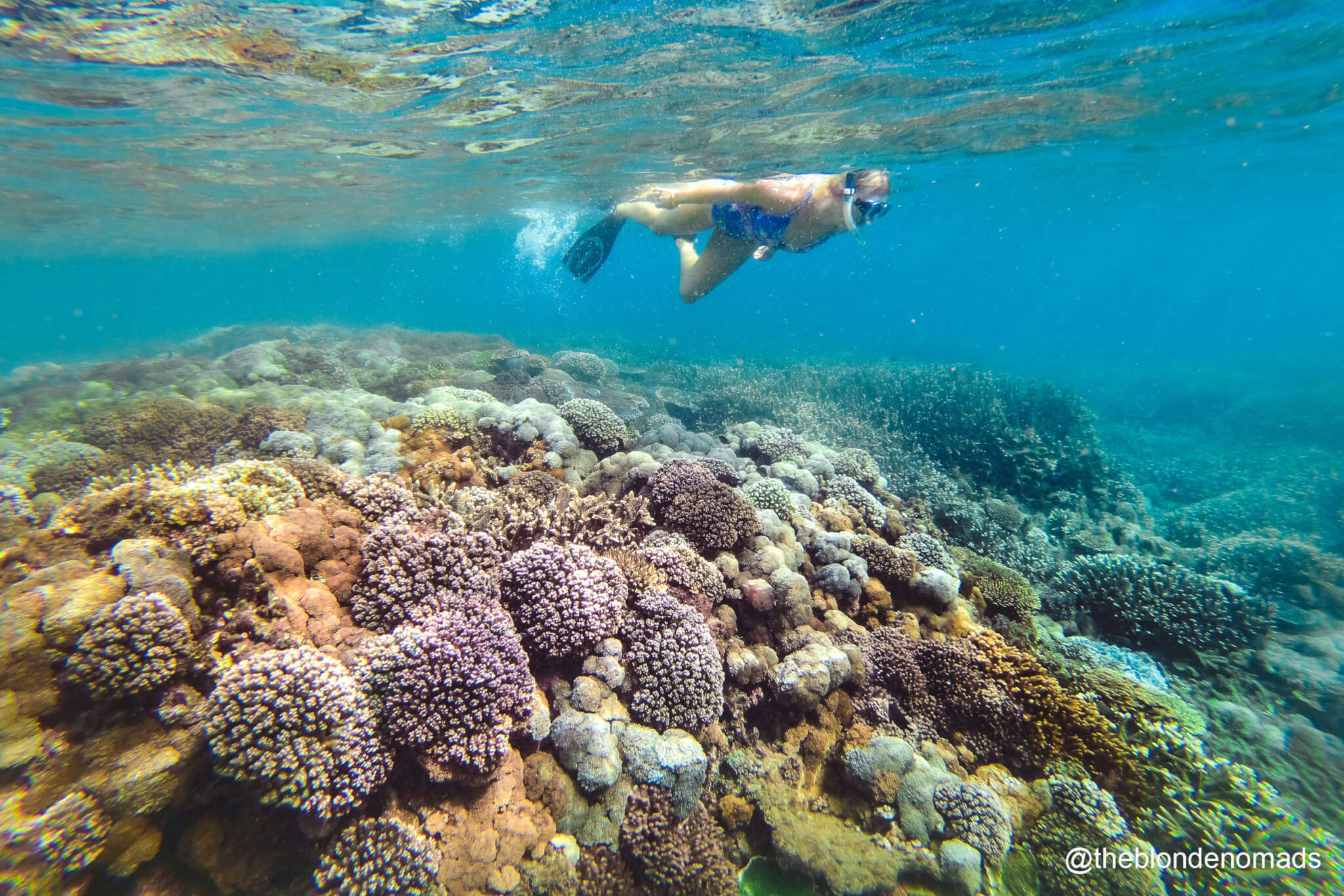 Exploring the Capricorn Coast Region – Weather, Transport & Seasonality