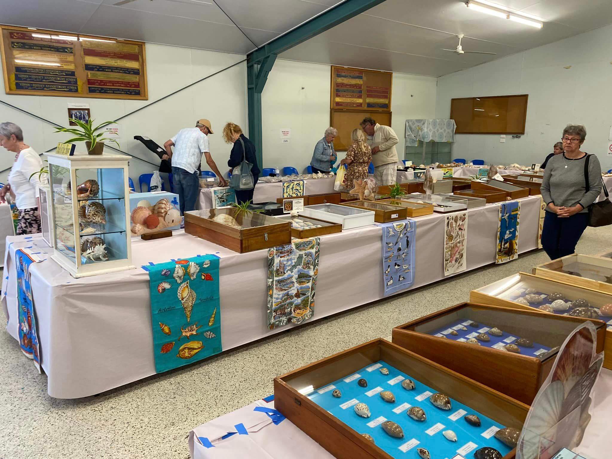 Shell World Yeppoon - Visit Capricorn Coast - Southern Great Barrier Reef