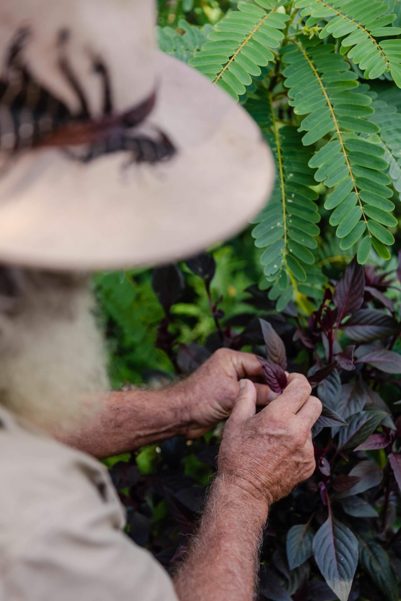Exploring the Best Farm-to-Fork Experiences on the Capricorn Coast