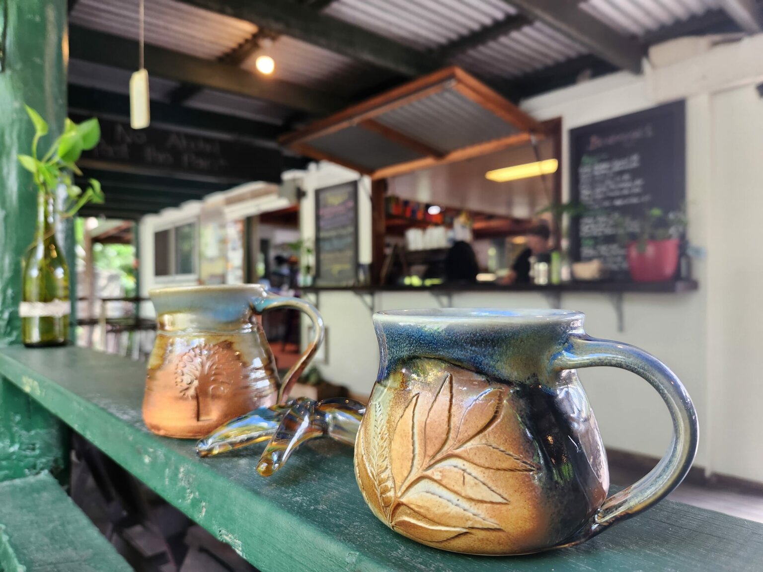 6 Ways to Explore Byfield Rainforest - Visit Capricorn Coast - Southern ...