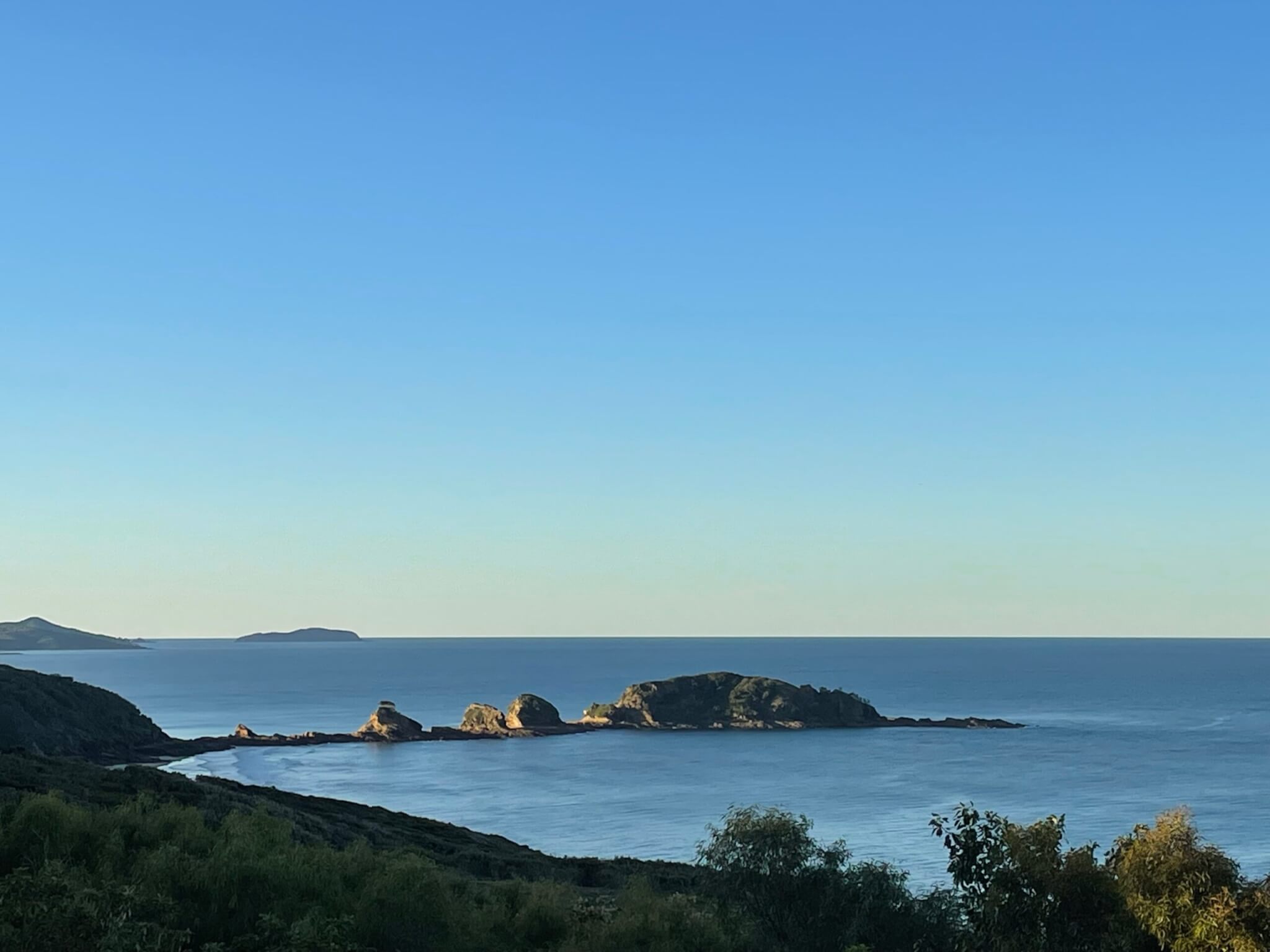 6 Ways to Explore Byfield Rainforest